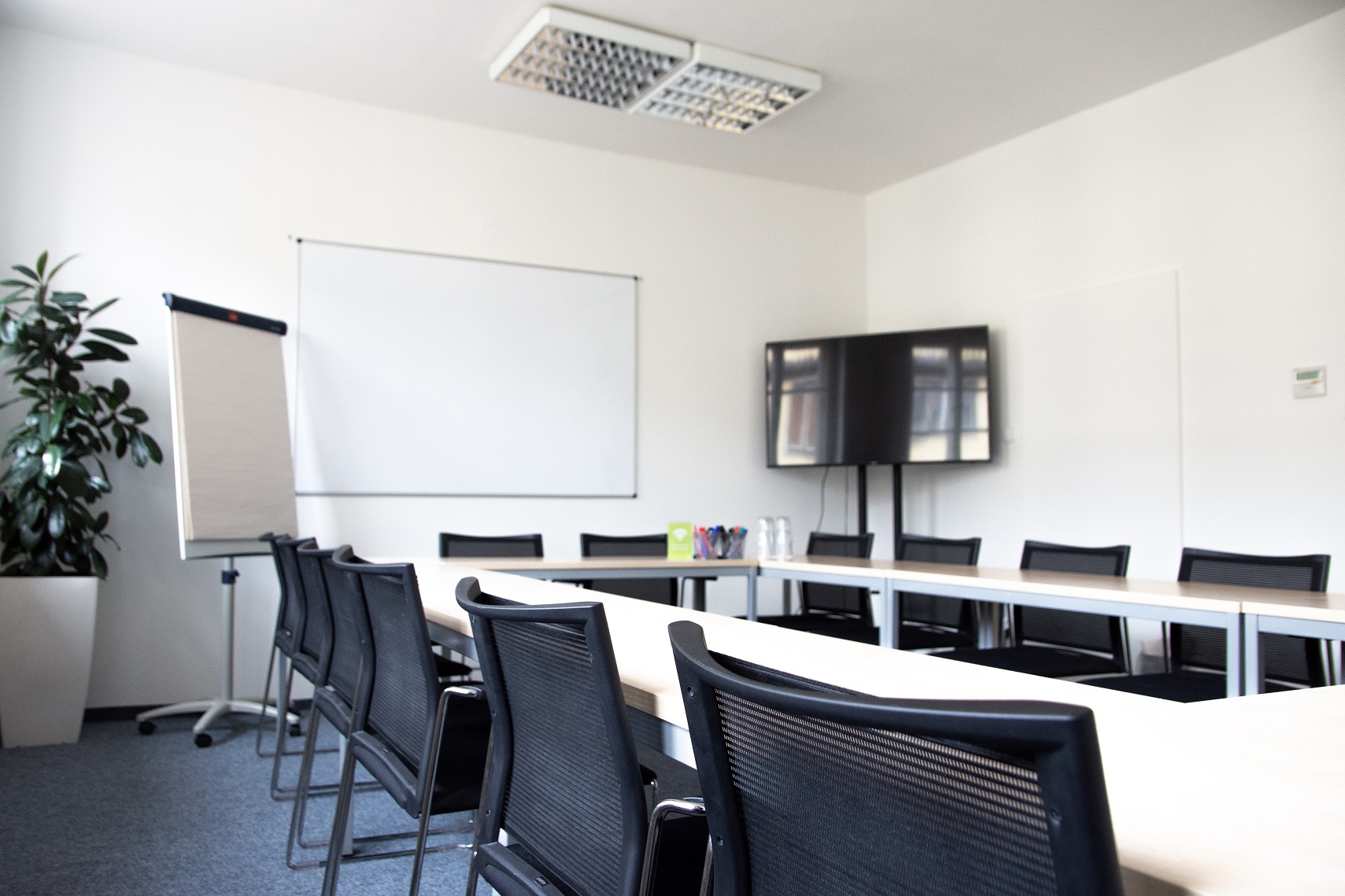 Jipka - moje jazykovka